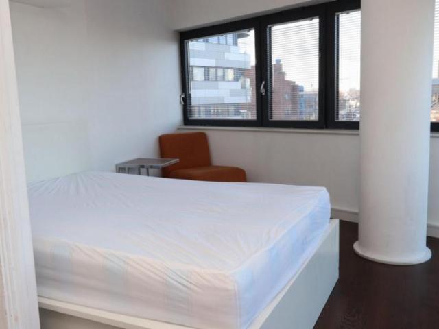 3 Bedroom Shared Living/roommate London London 90559920