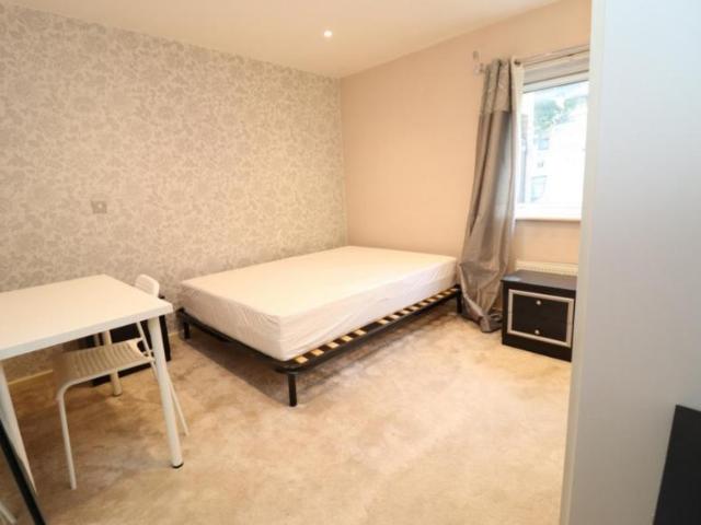 3 Bedroom Shared Living/roommate London London 90560461