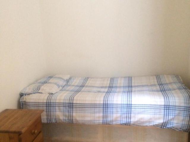3 Bedroom Shared Living/roommate London London 90560576