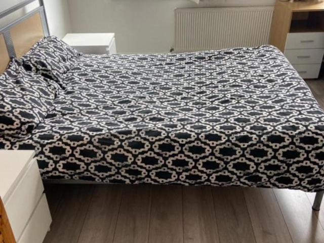 3 Bedroom Shared Living/roommate London London 90560672