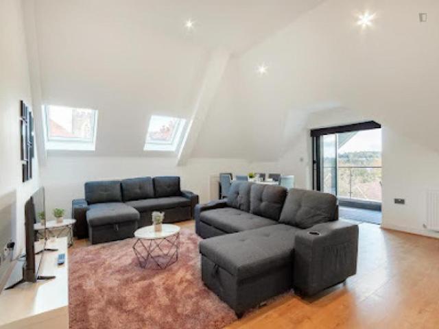 3 Bedroom Shared Living/roommate London London 90560950