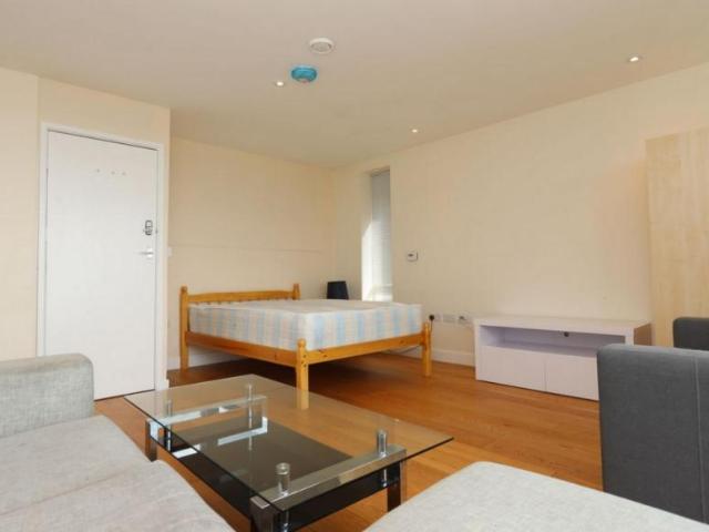 3 Bedroom Shared Living/roommate London London 90560011