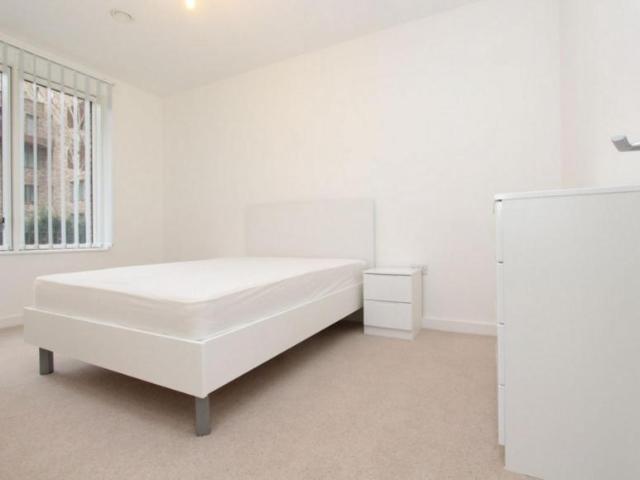 3 Bedroom Shared Living/roommate London London 90560061
