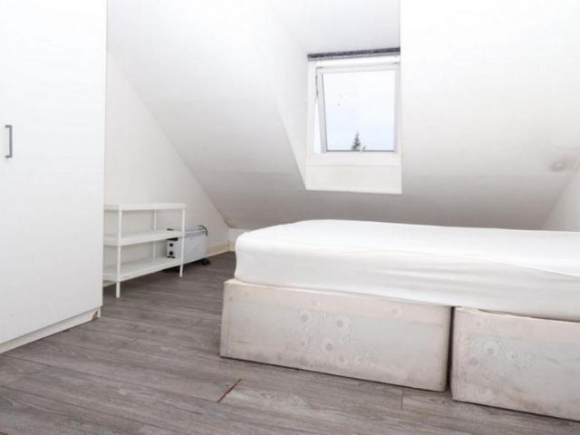 3 Bedroom Shared Living/roommate London London 90560344