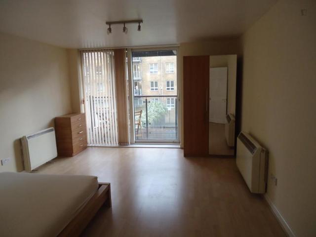 3 Bedroom Shared Living/roommate London London 90563277