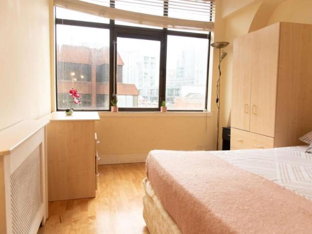 3 Bedroom Shared Living/roommate London London 94982448