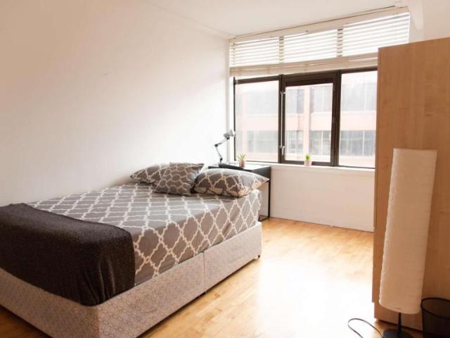 3 Bedroom Shared Living/roommate London London 94006705