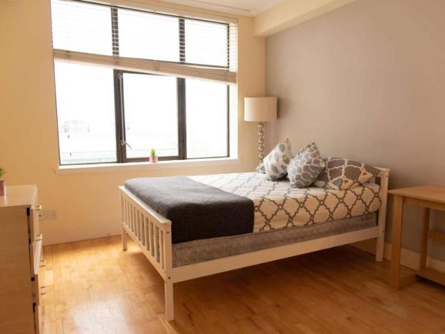 3 Bedroom Shared Living/roommate London London 98542681