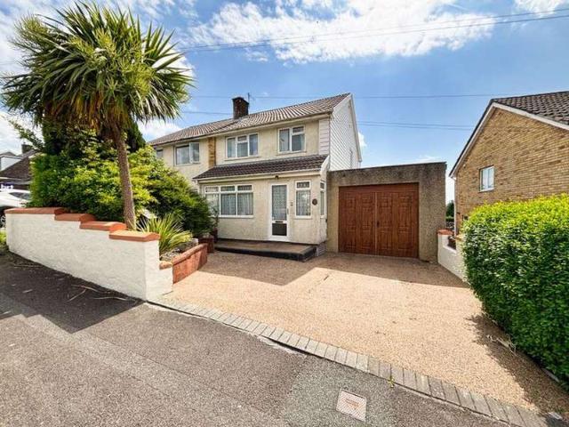 3 Bedroom Studio Flat