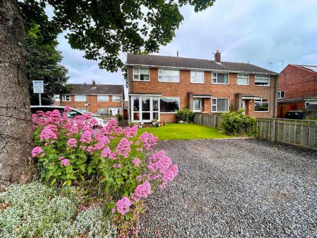 3 Bedroom Studio Flat