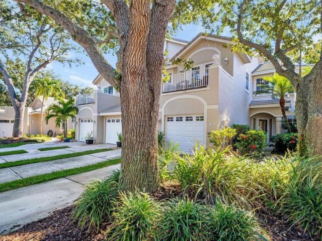 3 bedroom, St Petersburg FL 33703 102659837