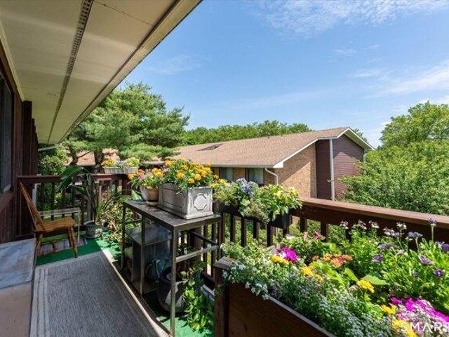 3 bedroom, Stamford CT 06905 105160643