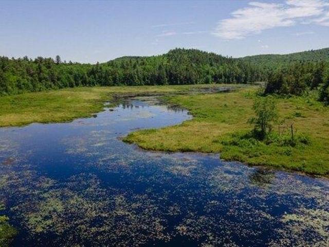 3 bedroom, Stoddard NH 03464 105116092