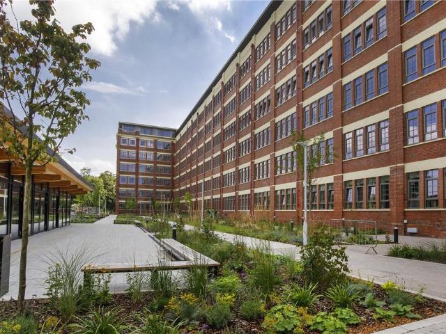 3 bedroom penthouse to rent