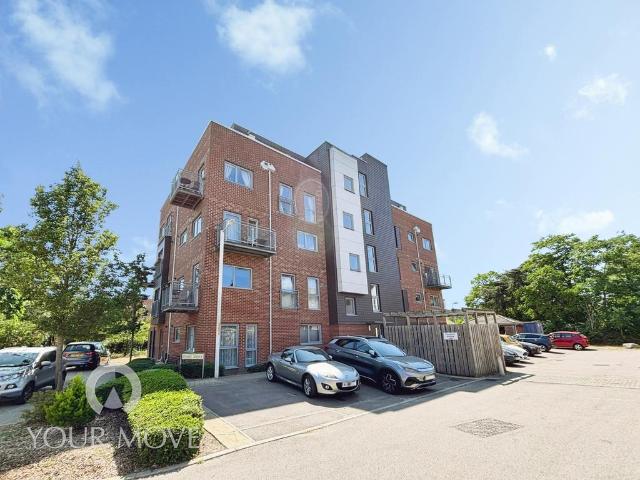 3 bedroom penthouse to rent
