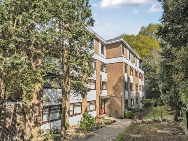 3 bedroom penthouse to rent