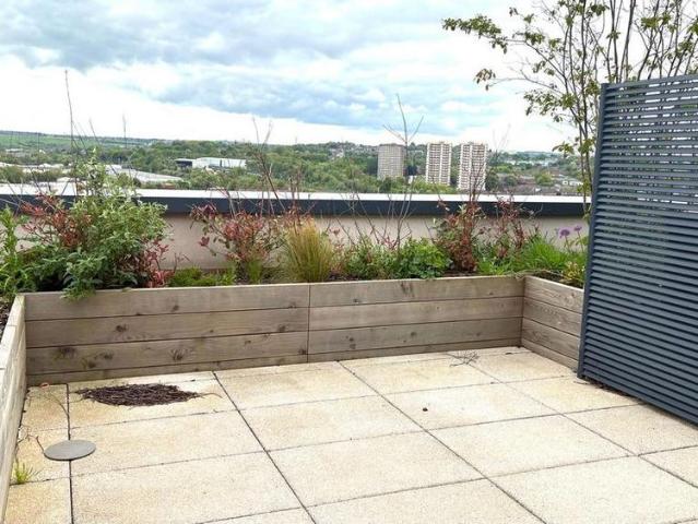 3 bedroom penthouse to rent