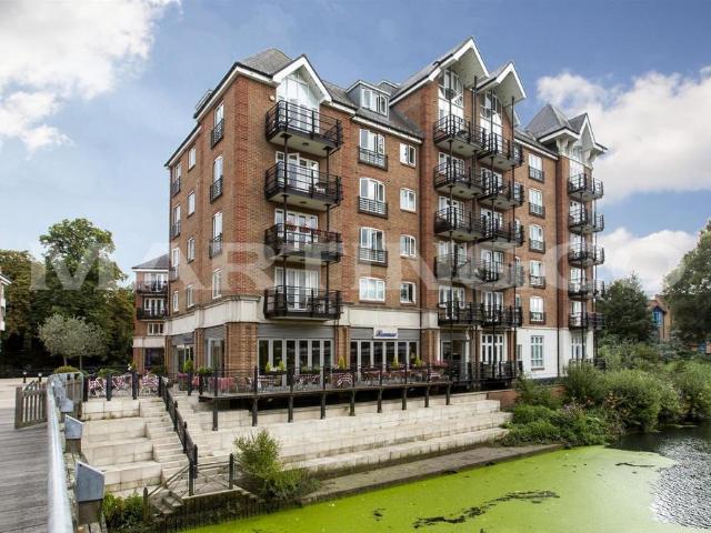 3 bedroom penthouse to rent
