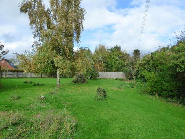 3 Bedroom Plot Commercial