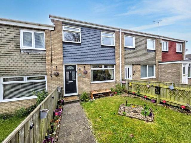 3 Bedroom Property