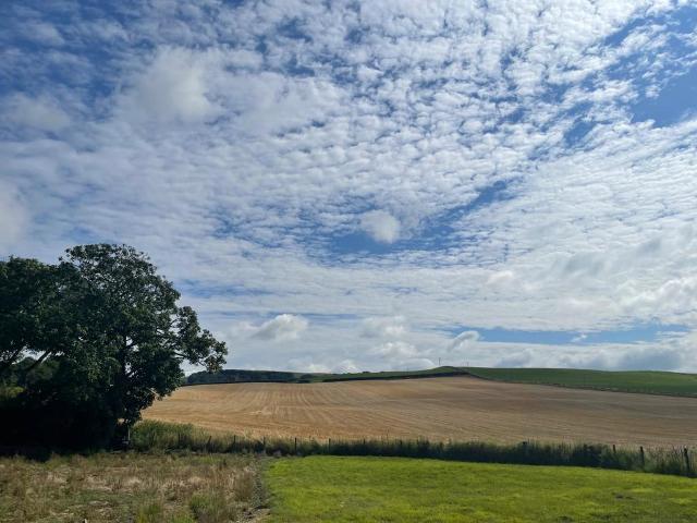 3 bedroom property with land for sale