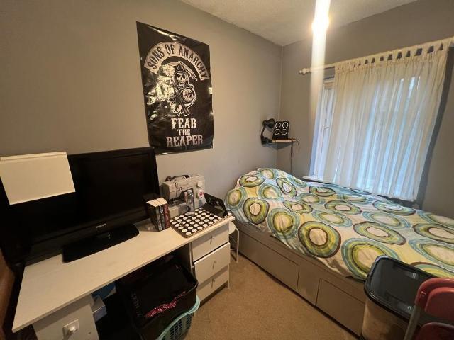 3 bedroom property to rent