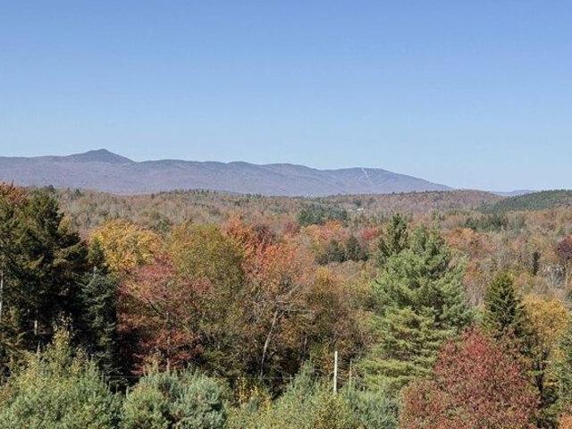 3 bedroom, Wilmington VT 05363 102258146