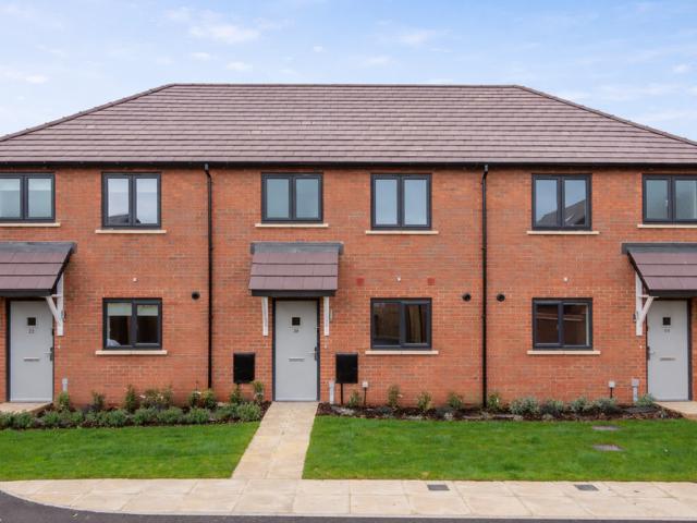 3 bedroom terraced house to rent