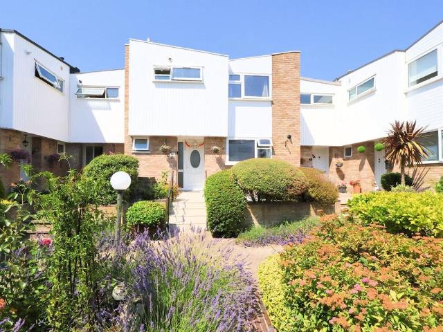 3 bedroom terraced house to rent