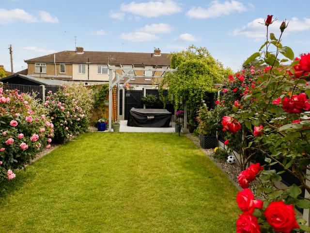 3 bedroom terraced house to rent
