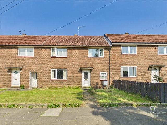 3 bedroom terraced house to rent