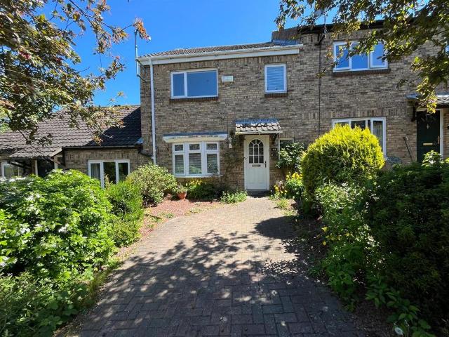 3 bedroom terraced house to rent