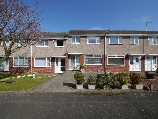 3 bedroom terraced house to rent