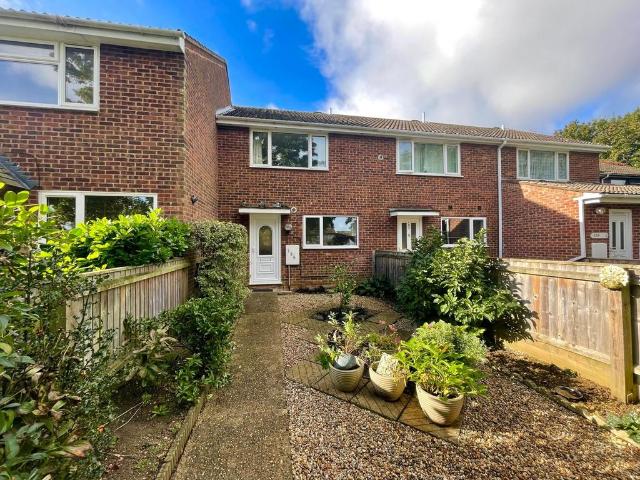 3 bedroom terraced house to rent