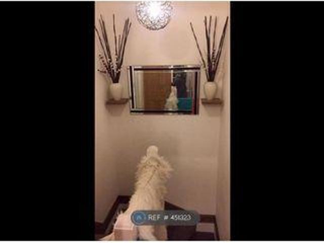 3 Bedrooms Flat for rent in Swan Road, London SE16