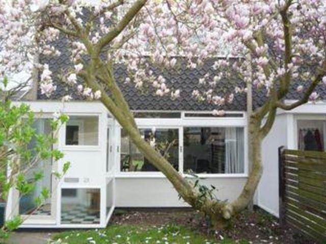 3 Bedrooms for rent in Princes Road, Kew, Richmond, Surrey TW9