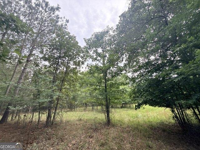 3 Bethesda Church Rd, Lexington, GA 30648