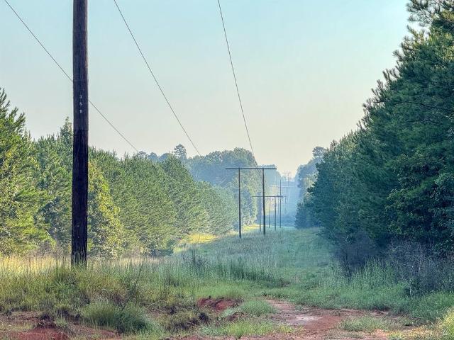 3 Big Hill Fire Tower Road