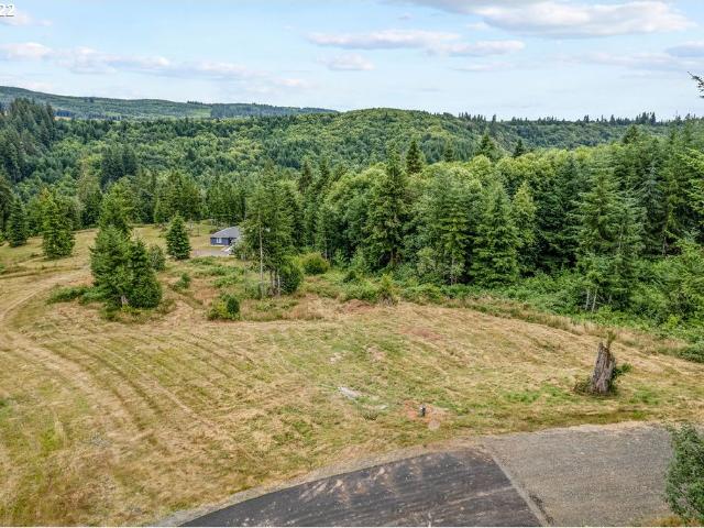 3 Bison Run, Longview, WA 98632 | MLS #22133