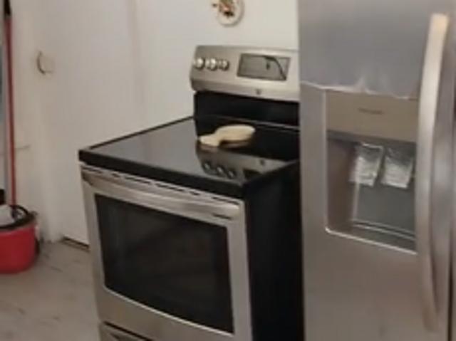 3 BR, 1.5 BA Apartment 2841 West Rawson Avenue, Franklin, WI 53132