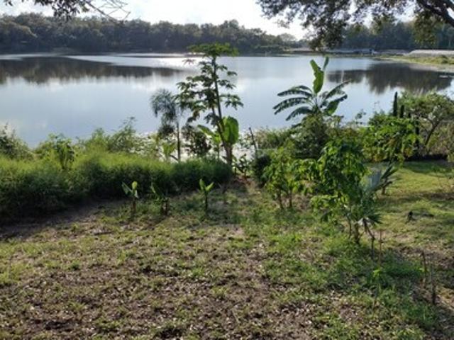3 BR, 1.5 BA Apartment 334 Lake Shepard Drive, Apopka, FL 32703