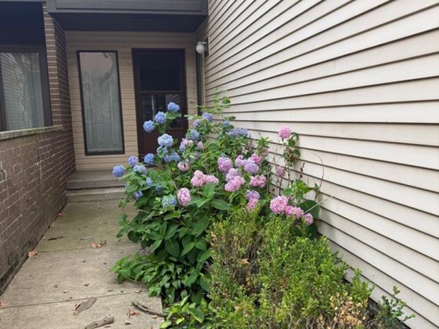 3 BR, 1.5 BA Apartment 4458 Habersham Lane North, Unit 223, Richmond Heights, OH 44143