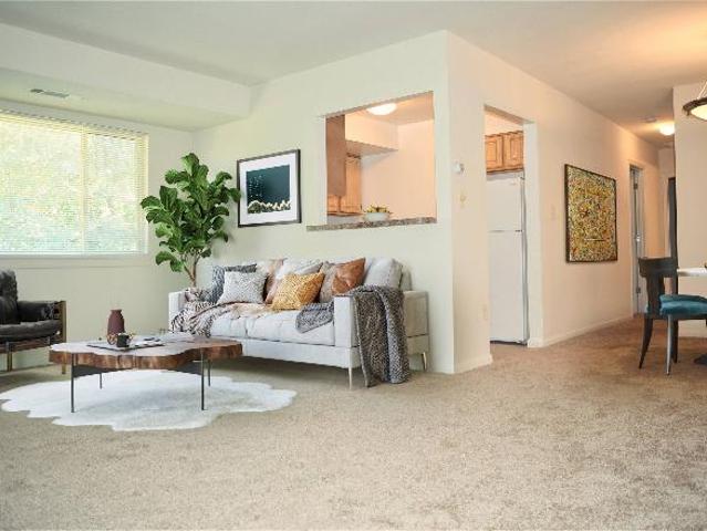 3 Br, 1 bath, Apartment 300 Stevens Circle
