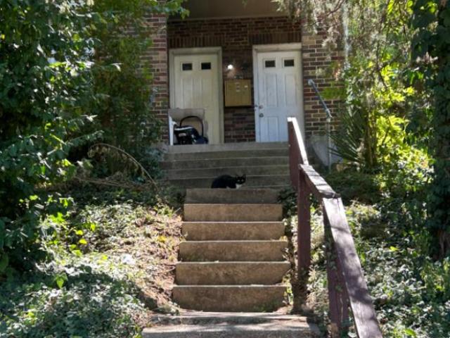 3 Br, 1 bath, Condo 3655 Reading Rd