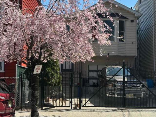 3 Br, 1 bath, Single Family 197 N 5th St