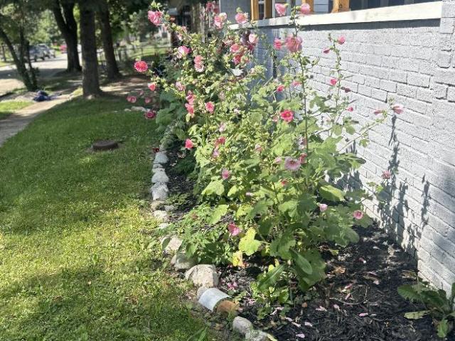 3 Br, 1 bath, Single Family 315 N Grant Ave