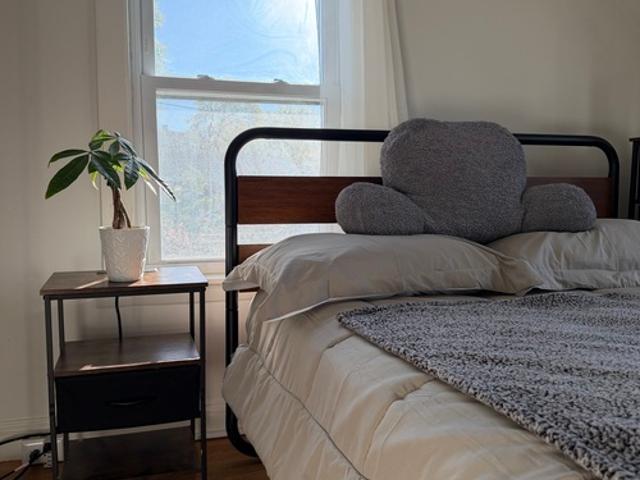 3 BR, 1 BA Apartment 104 R Homes Avenue, Boston, MA 02122