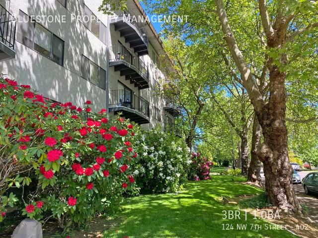 3 BR, 1 BA Apartment 124 NW 7th Street, Corvallis, OR 97330