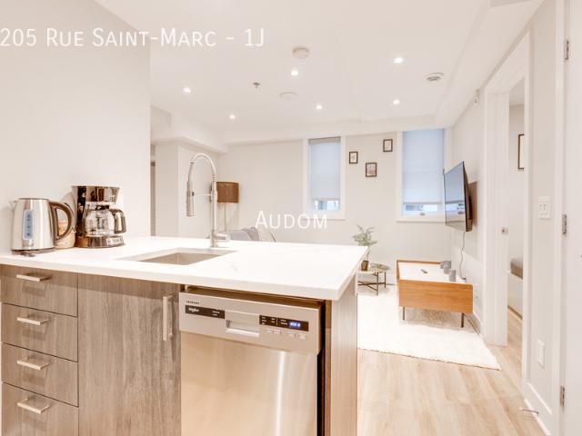 3 BR, 1 BA Apartment 2205 Rue Saint Marc, MontrÃ©al, QC H3H 2G9