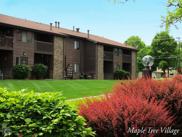 3 BR, 1 BA Apartment 303 Packard Highway, Charlotte, MI 48813